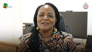 Nigeria’s Adekeye emerges chairperson, oil and gas training institute’s ...