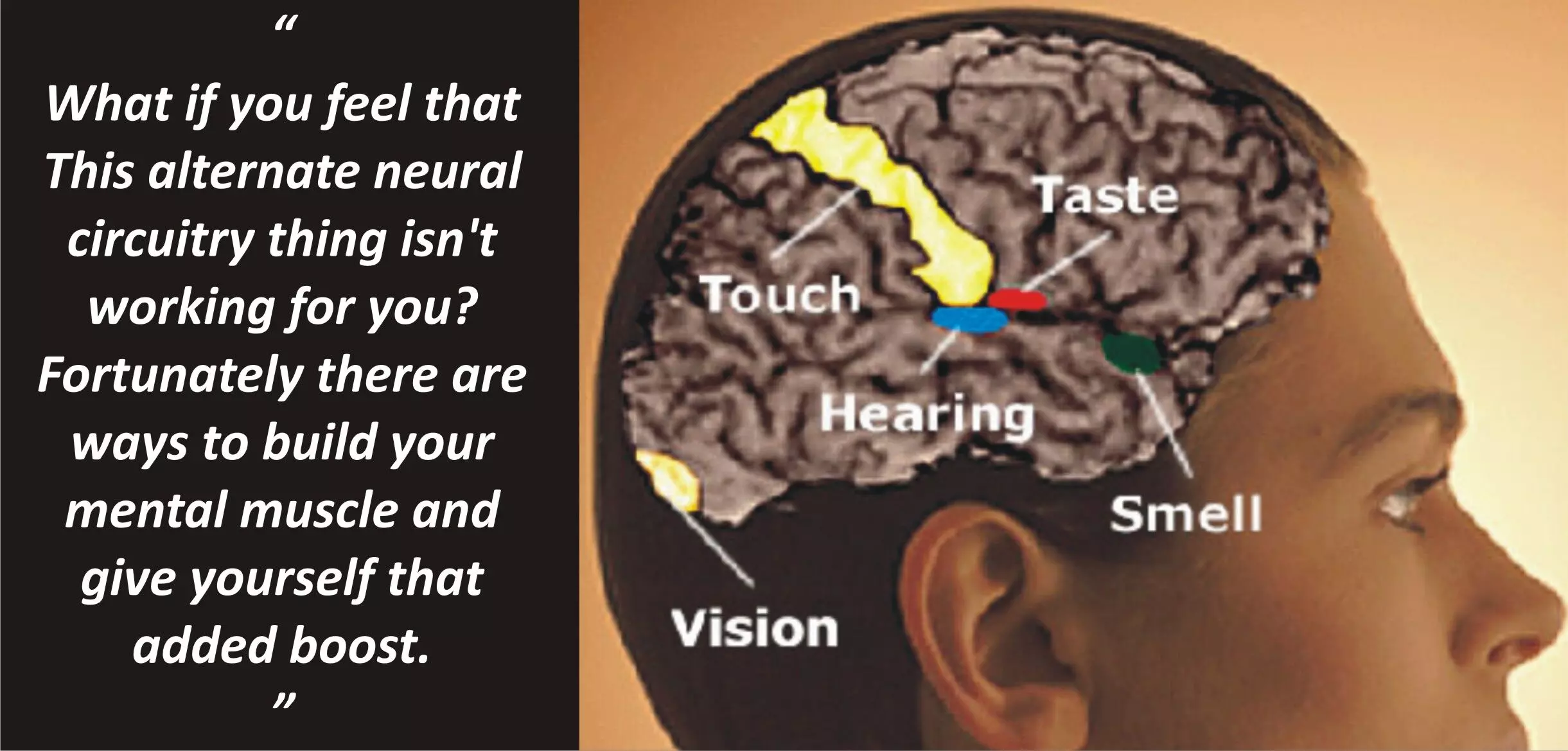 HOW TO BUILD A BETTER BRAIN